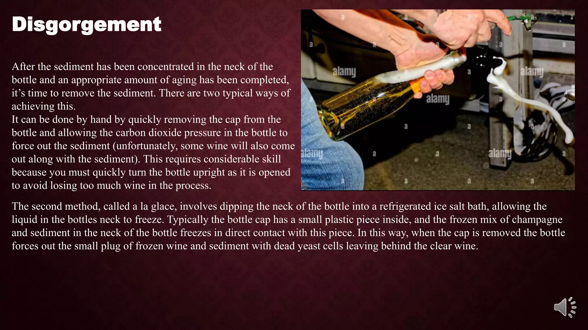 Champagne Production Process ( Fermentation Technology ).pptx