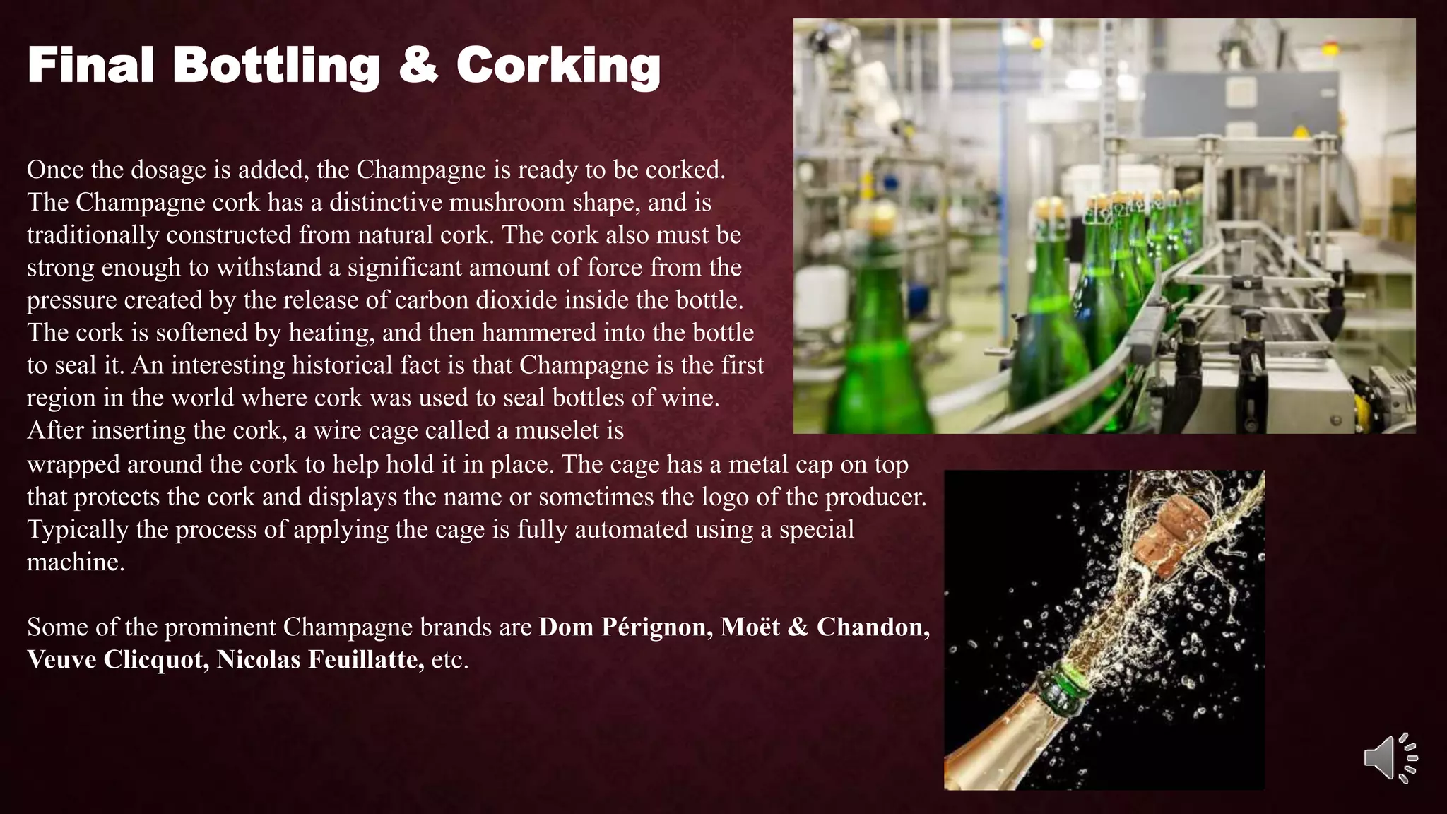 Champagne Production Process ( Fermentation Technology ).pptx