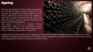 Champagne Production Process ( Fermentation Technology ).pptx