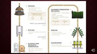 Champagne Production Process ( Fermentation Technology ).pptx