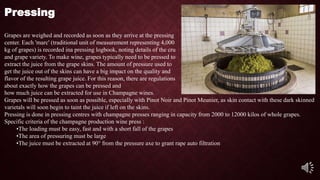 Champagne Production Process ( Fermentation Technology ).pptx