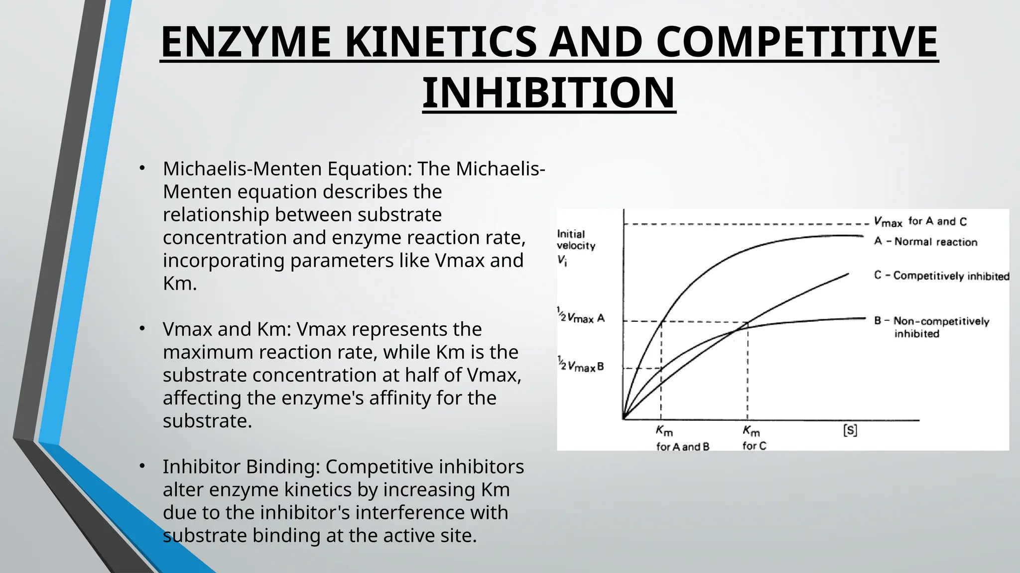 COMPETITIVE INHIBITION IN ENZYMOLOGY BIOTECHNOLOGY | PPT