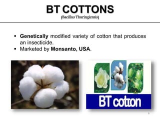 Case Study About Cotton Products | PPTX