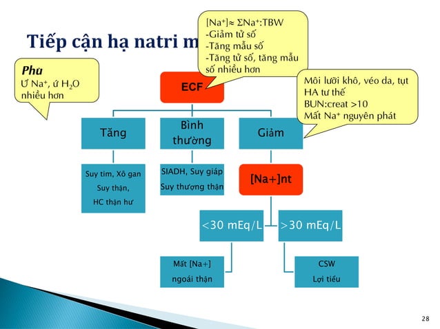 HẠ NATRI MÁU BS BIÊN | PDF