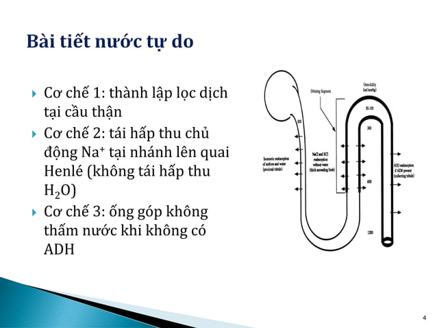 HẠ NATRI MÁU BS BIÊN | PDF