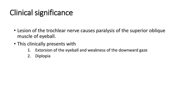 Anatomy Of Trochlear Nerve Ophthalmologypptx