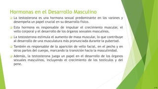 El desarrollo físico durante la pubertad | PPTX