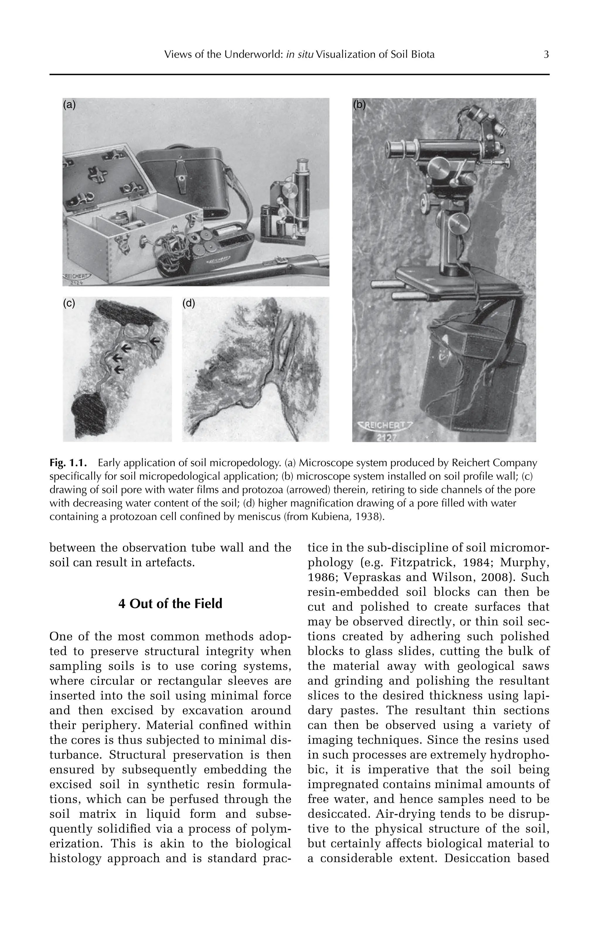 Architecture And Biology Of Soils First Karl Ritz Iain Young | PDF