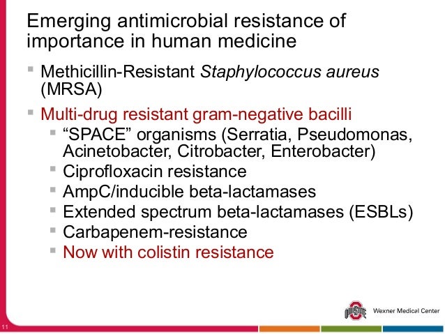 Dr. Kurt Stevenson - Antimicrobial Resistance Surveillance and Manage…