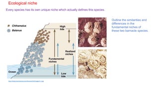 2.1. Species and populations | PPTX