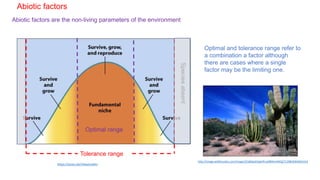 2.1. Species and populations | PPTX