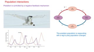 2.1. Species and populations | PPTX