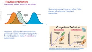 2.1. Species and populations | PPTX