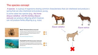2.1. Species and populations | PPTX