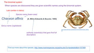 2.1. Species and populations | PPTX