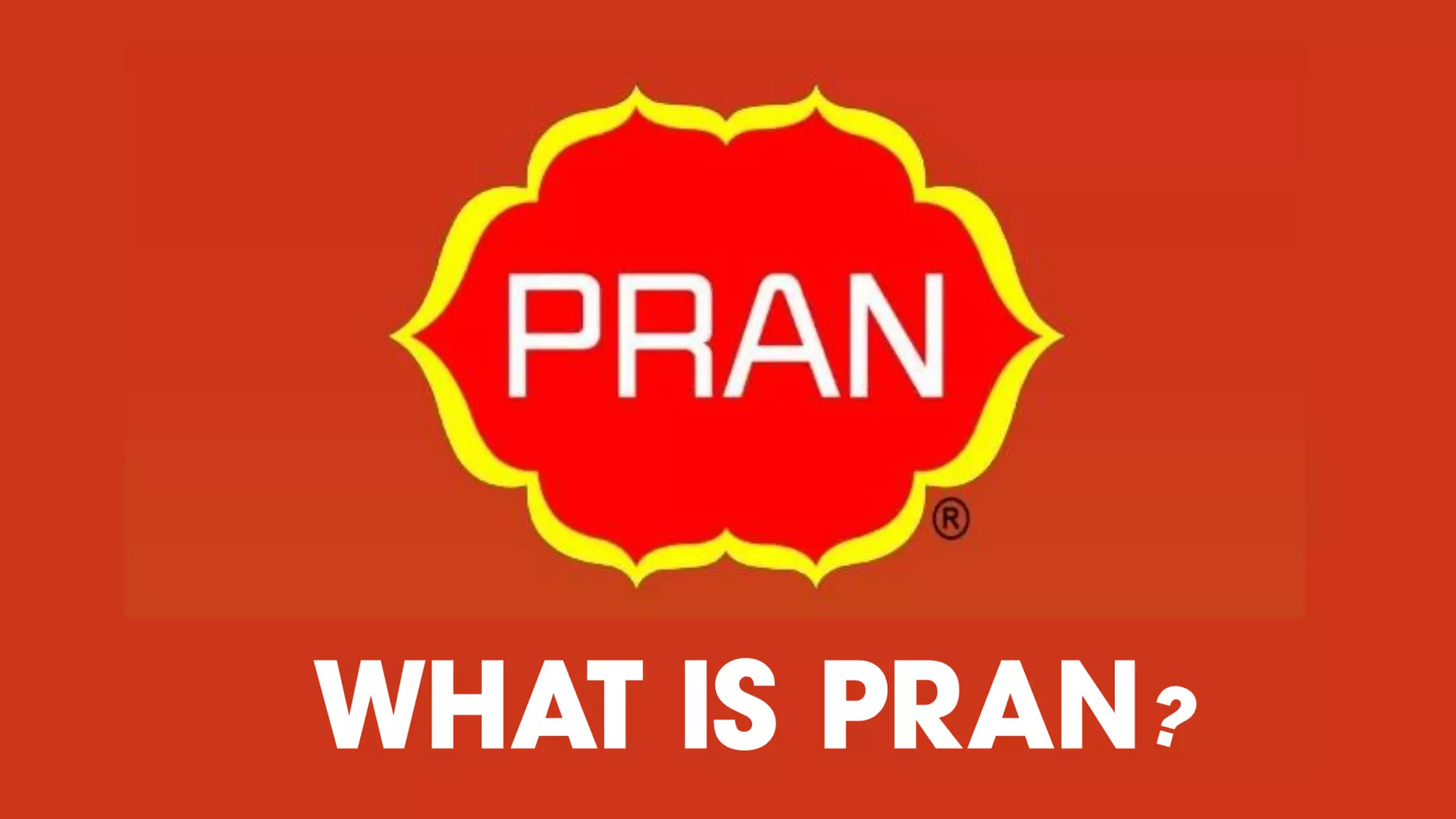 PRAN-RFL Group Presentaion by Imtiaz x | PDF