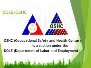 Role of Safety Officers 2023 (Copyright) | PDF