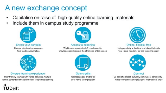 Virtual Exchange Program | PDF