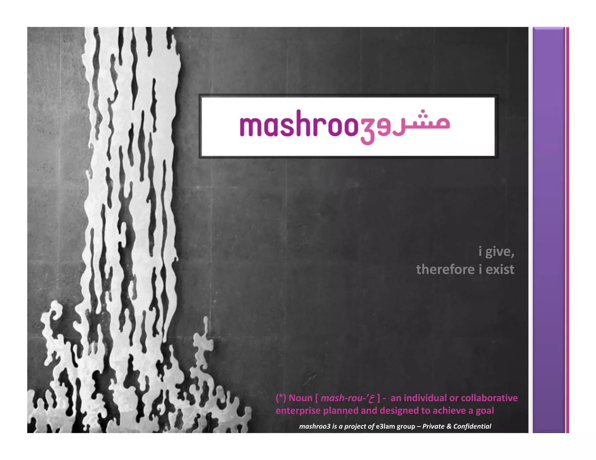 the mashroo3 project | PDF | Non-Profit Organizations | Industries