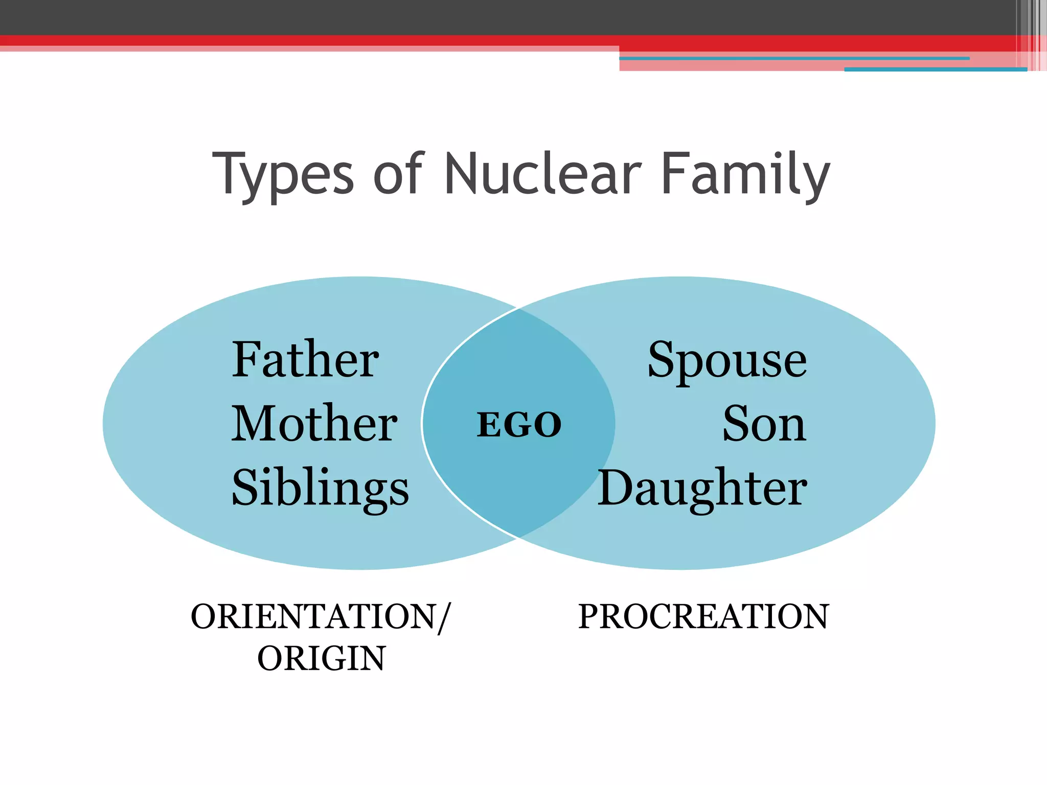 Family as a unit of care | PPT