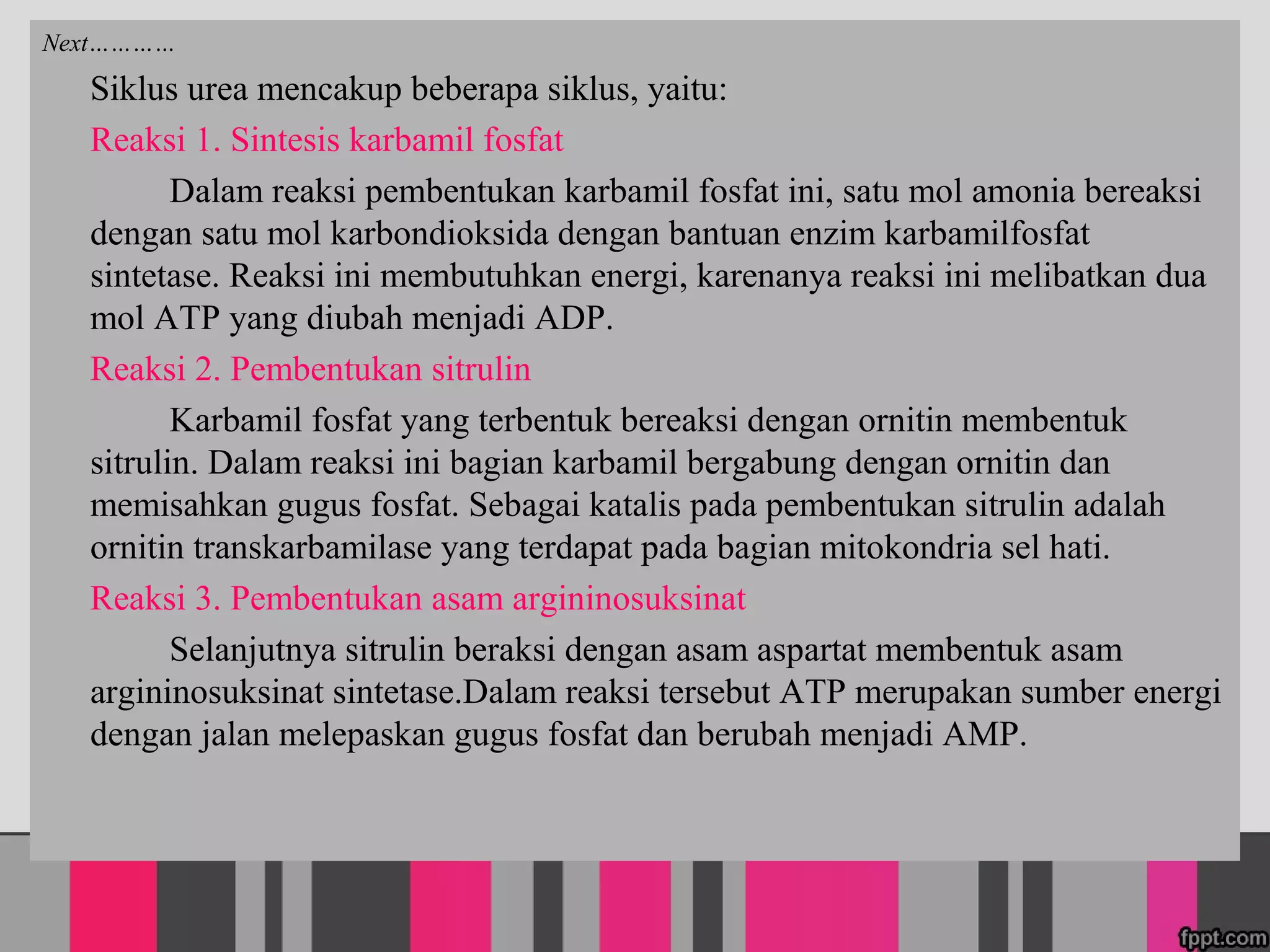 METABOLISME PROTEIN | PPT