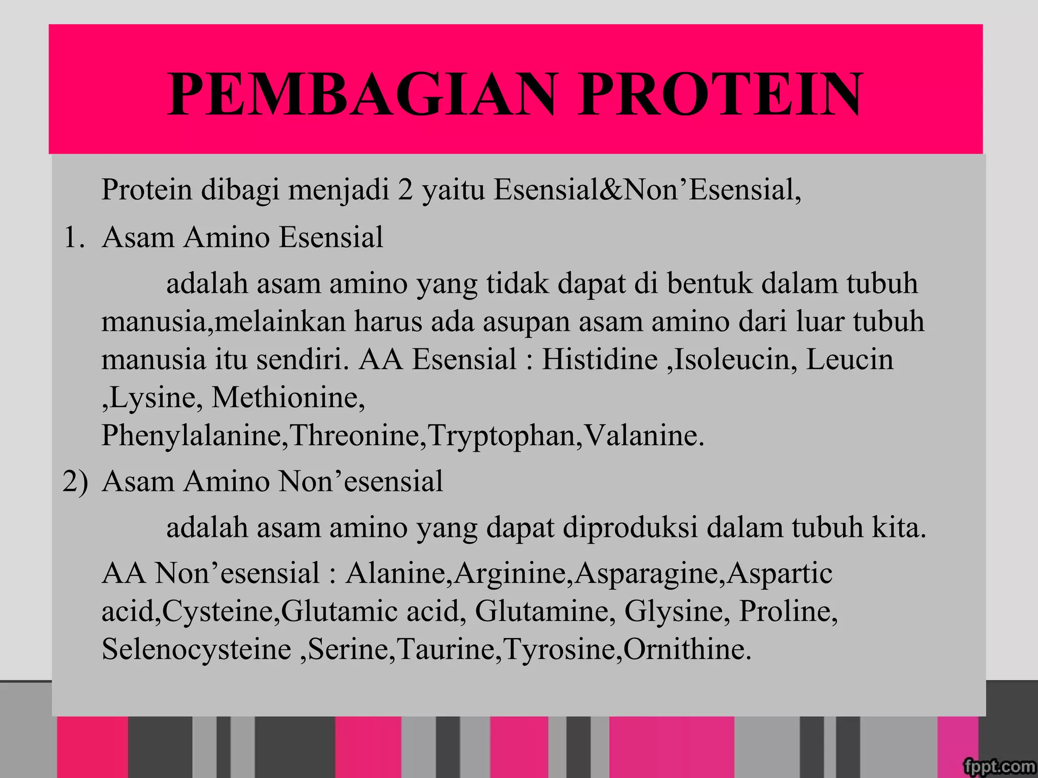 METABOLISME PROTEIN | PPT