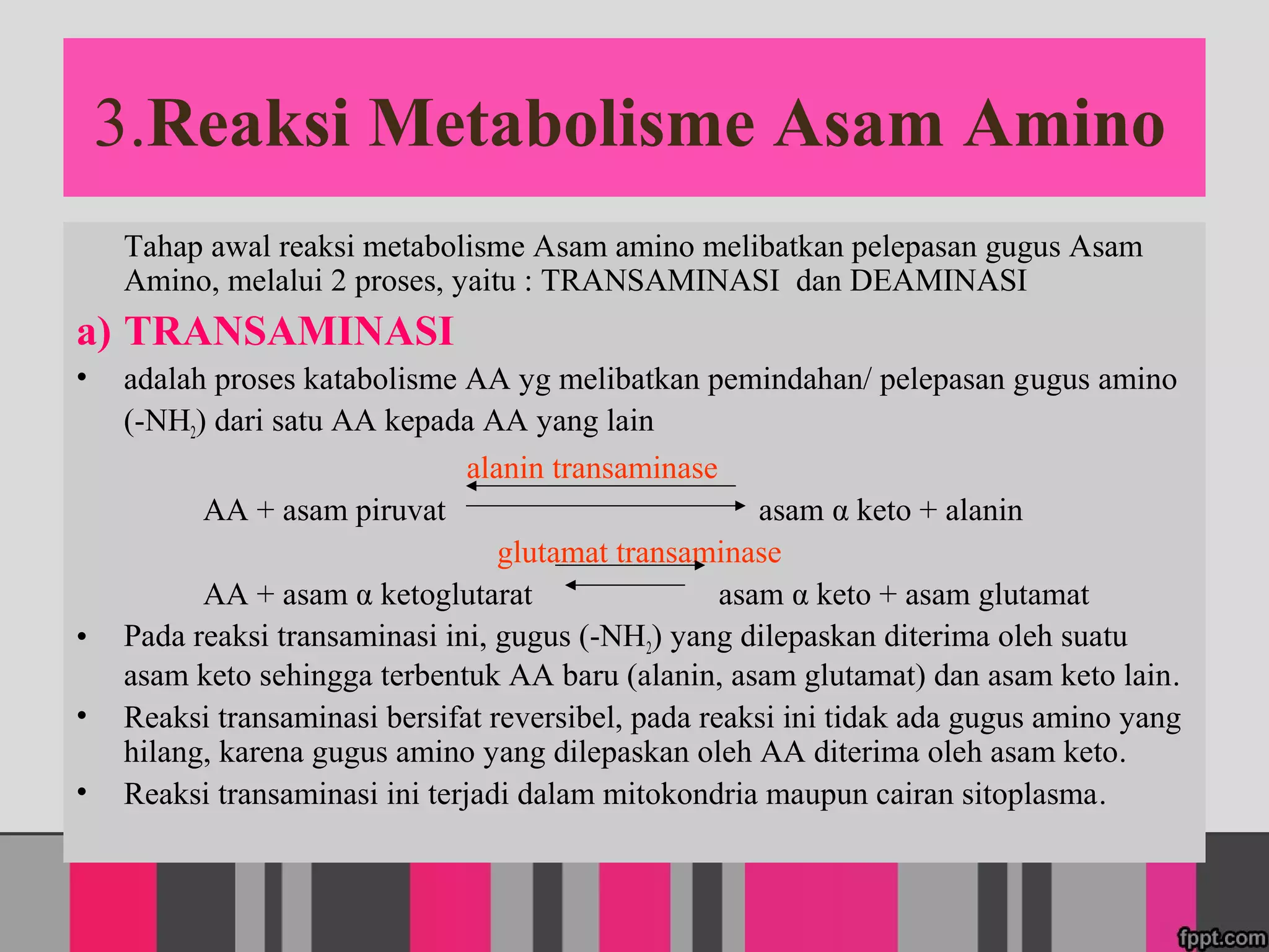 METABOLISME PROTEIN | PPT