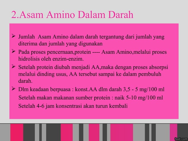 METABOLISME PROTEIN | PPT