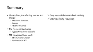 8 - Metabolism and Transfering Energy - Part One | PPT