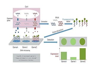 Molecular Technology | PPT