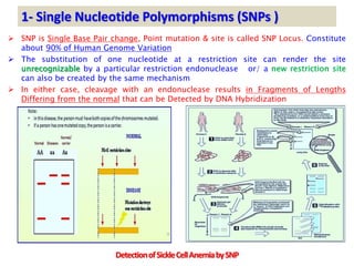 Molecular Technology | PPT