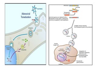 Molecular Technology | PPT