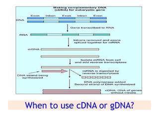 Molecular Technology | PPT