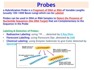 Molecular Technology | PPT