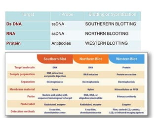 Molecular Technology | PPT