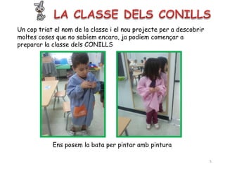 12 13 p4 b 1 projecte conills | PPT