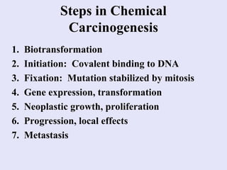 Carcinogenesis mechanisms and cell division | PPT