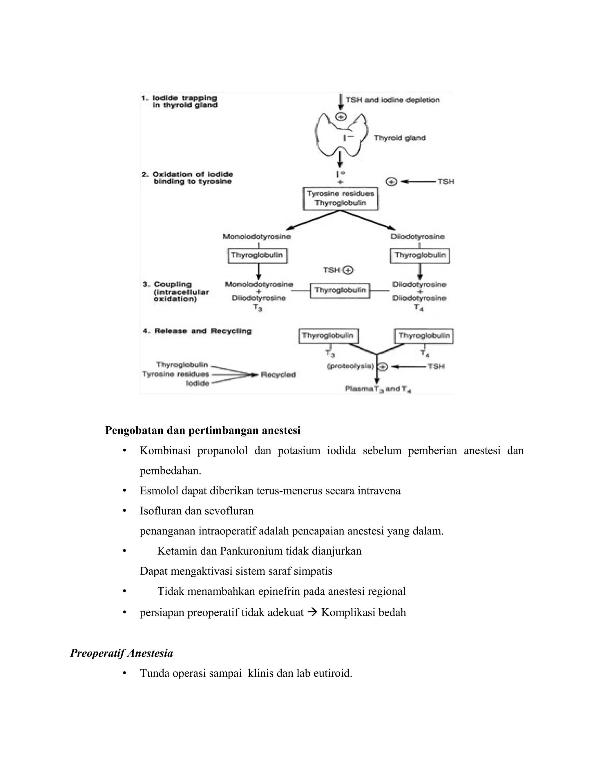 121591453 struma-nodular-non-toksik | DOC