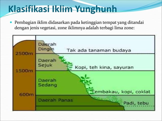 Materi tentang Klasifikasi iklim global .ppt