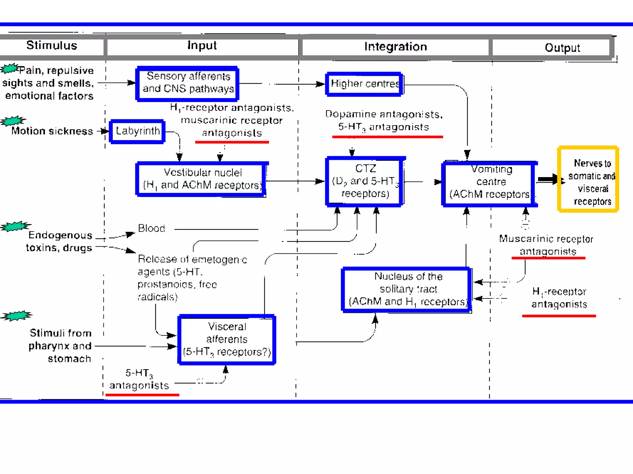 antiemetics,motility | PPT