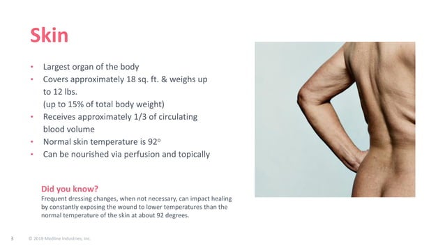 Skin Anatomy & Physiology | PDF | Skin and Dermatology | Diseases and ...