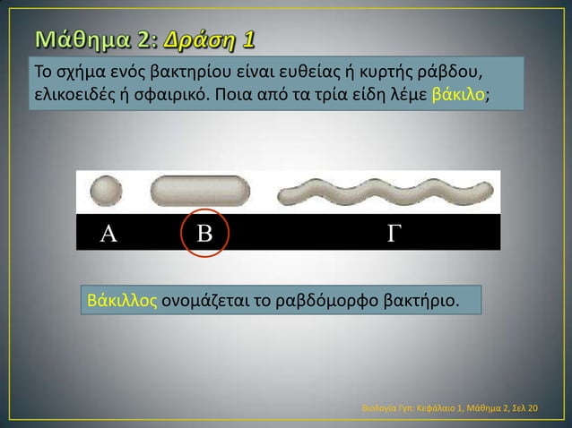 Pathogens Ppt