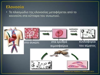 Pathogens | PPT