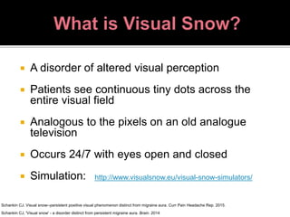 Visual Snow | PPT