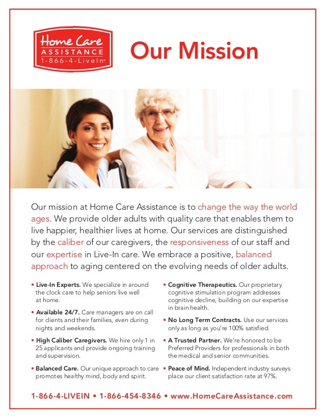 Mission Statement Flyer Mission Statement Flyer