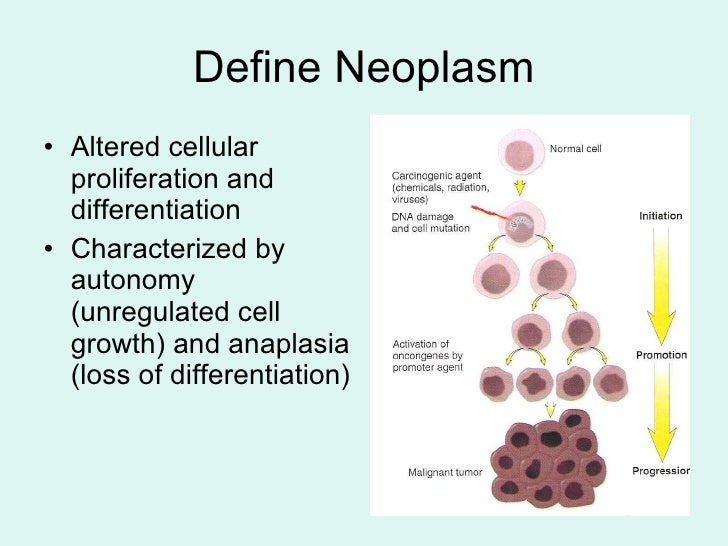 121 Week 3 Chapter 5 Neoplasm