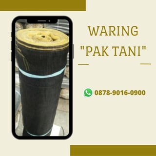 Waring Pak Tani | PDF