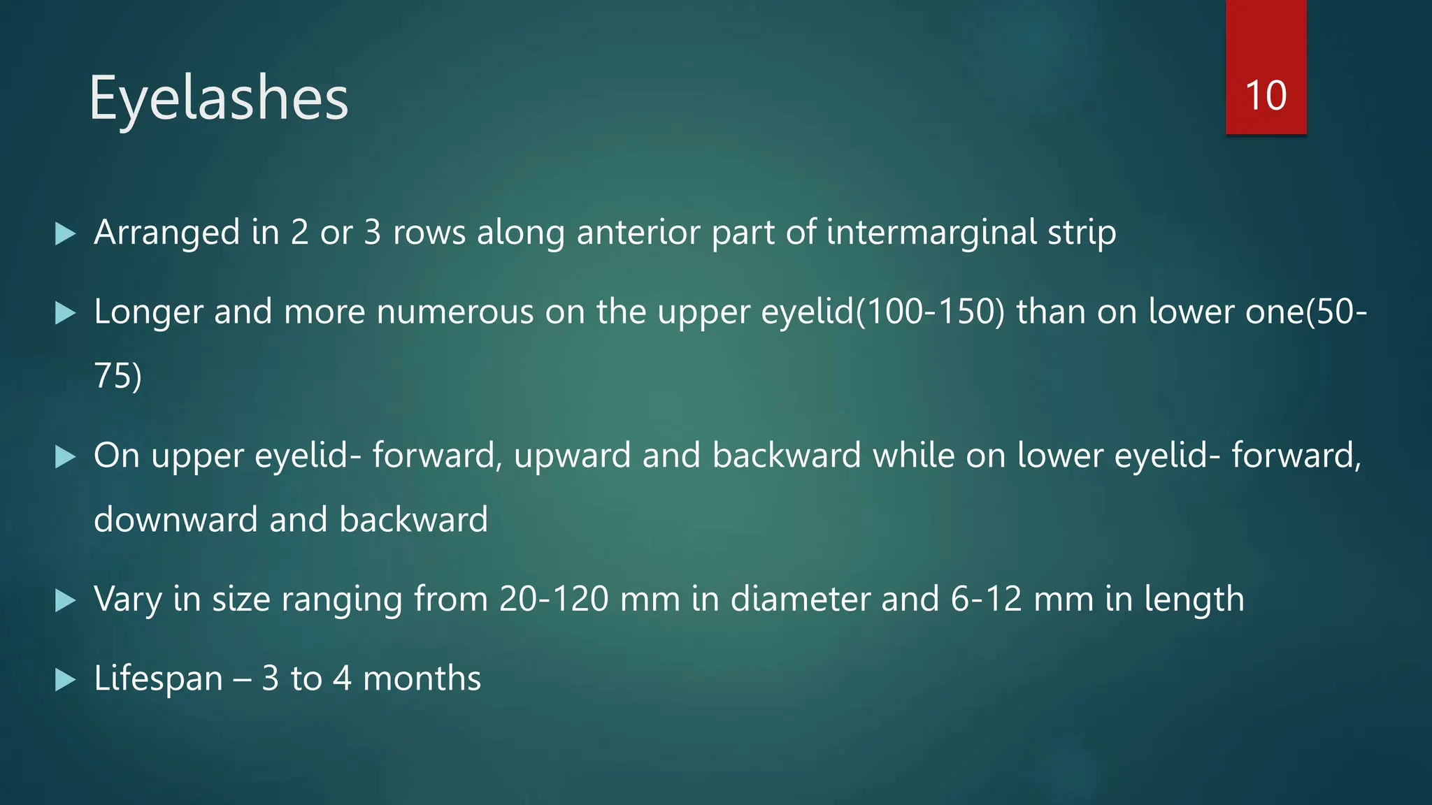 anatomy of eyelid ophthalmology presentation | PPTX