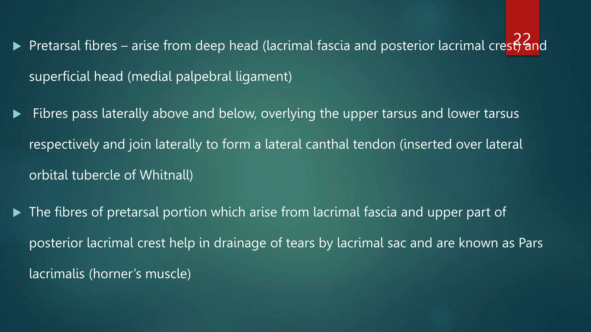 anatomy of eyelid ophthalmology presentation | PPTX