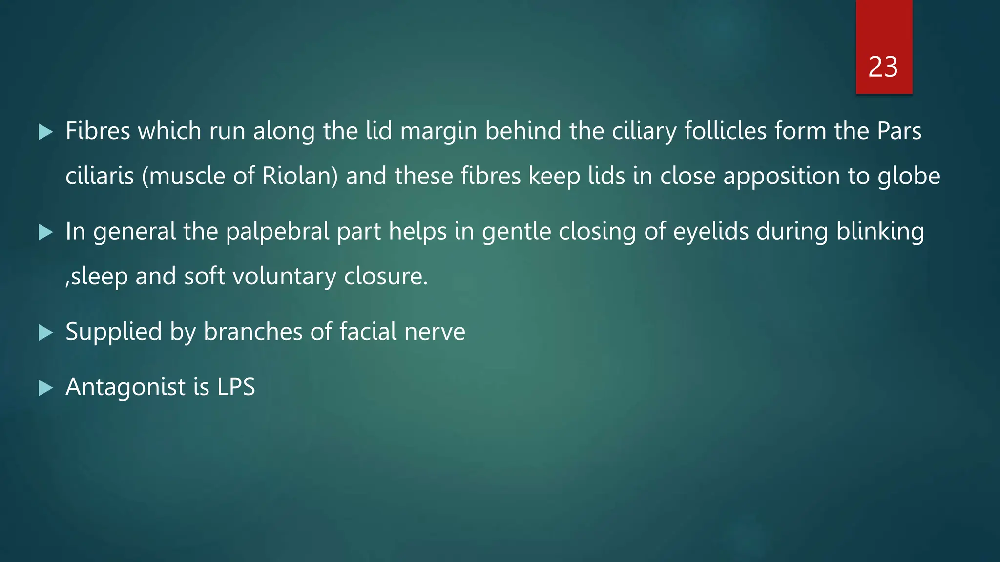 anatomy of eyelid ophthalmology presentation | PPTX